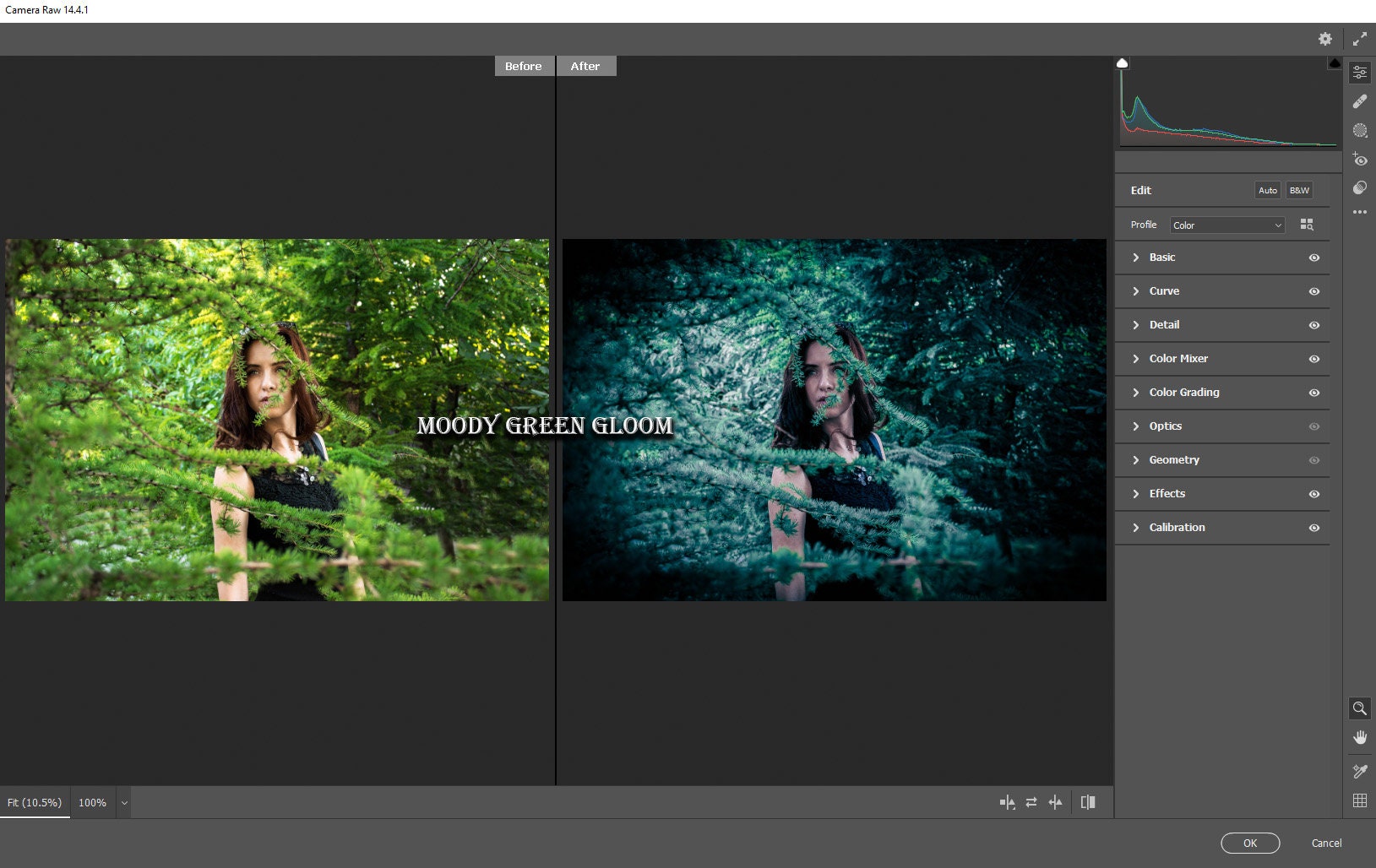 Moody Green ACR Preset Pack – 6 Adobe Camera Raw & Lightroom Color ...
