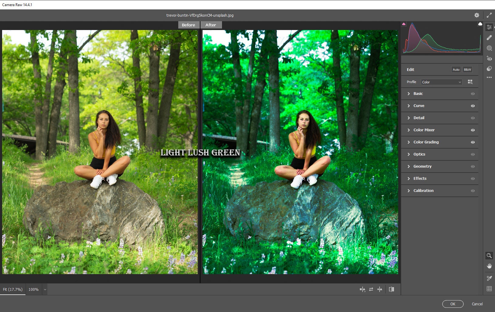 PRESETS FOR PHOTOSHOP, Adobe Camera Raw Batch Edit, Fast Workflow ...