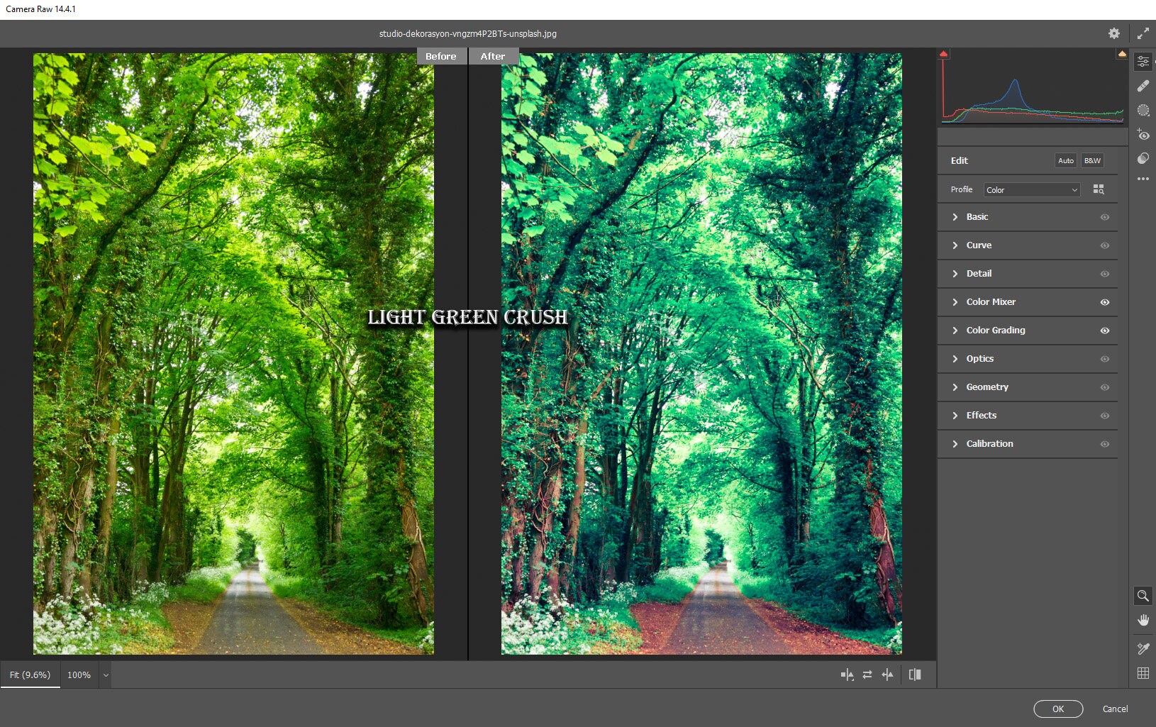 Moody Green ACR Preset Pack – 6 Adobe Camera Raw & Lightroom Color ...