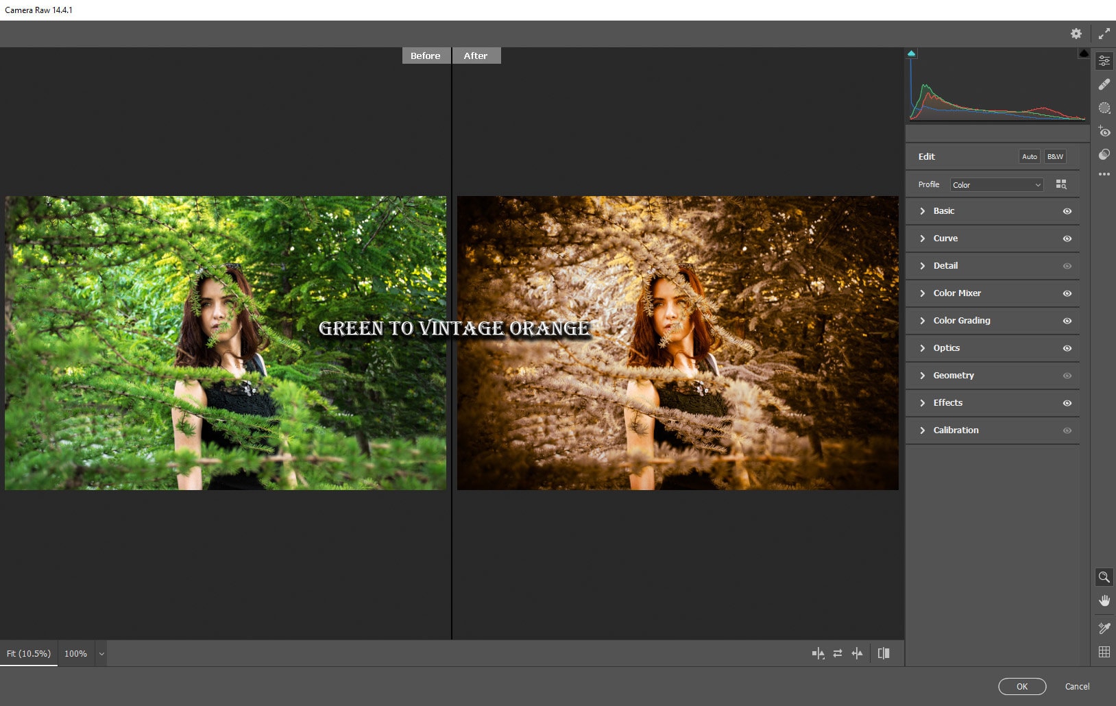 Moody Green ACR Preset Pack – 6 Adobe Camera Raw & Lightroom Color ...