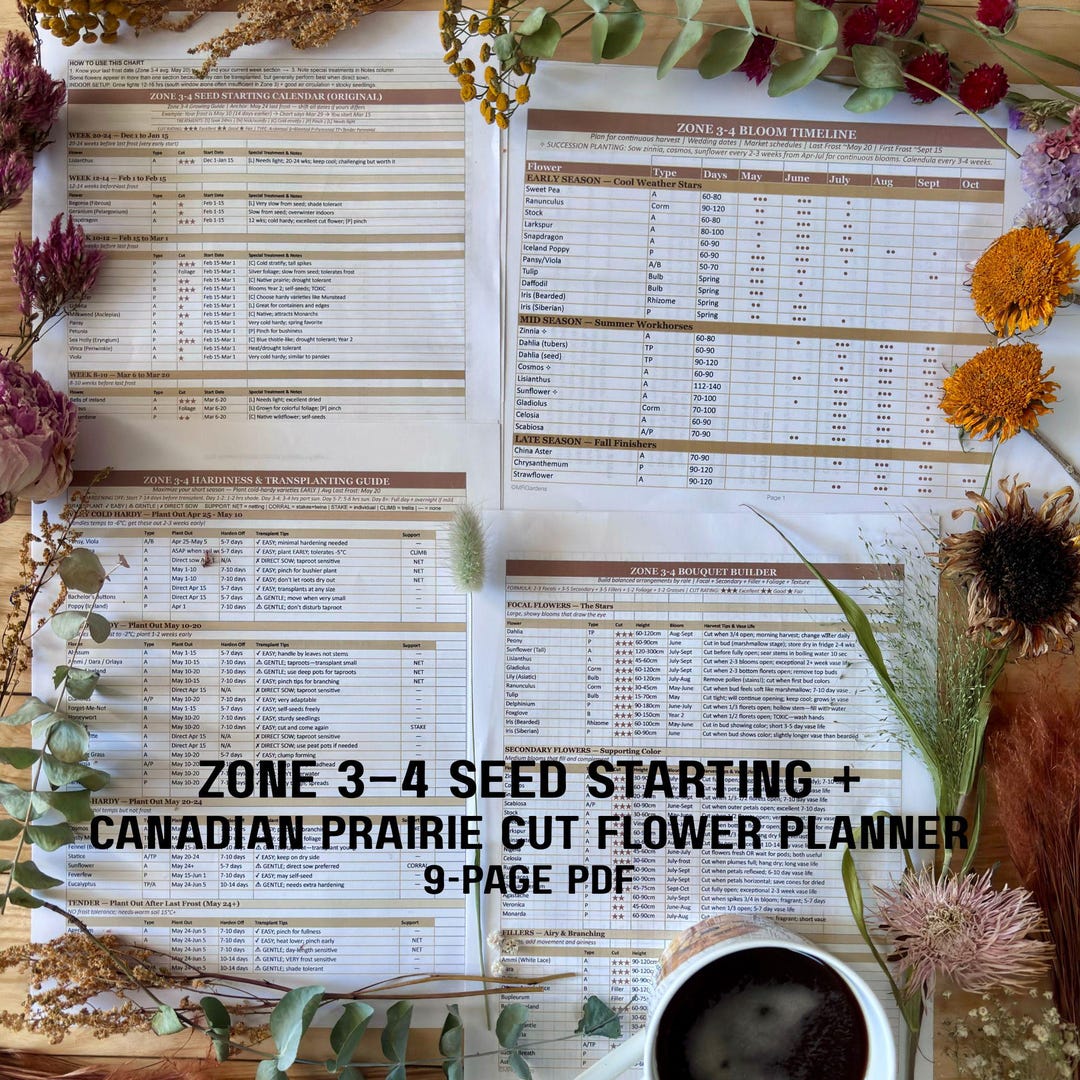 Zone 3–4 Seed Starting Chart | Canadian Prairie Cut Flower Planner (PDF ...