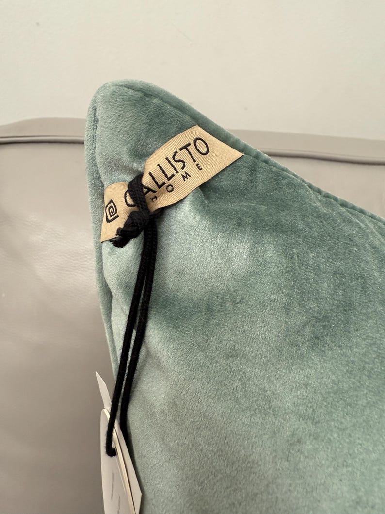 Callisto Home Light Blue 24x24 Textured Velvet Square Decorative Decor ...