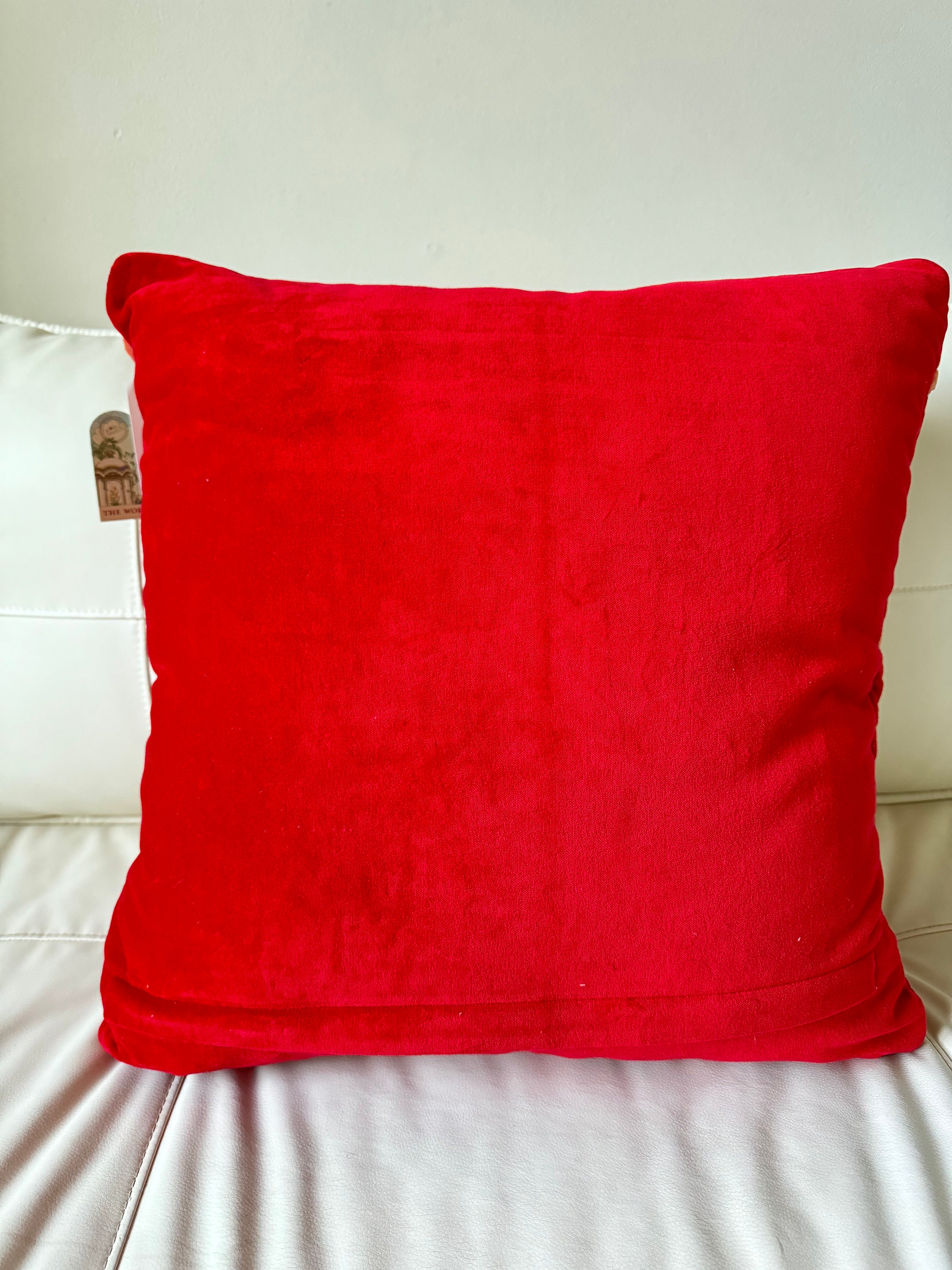 The World Traveler Collection India 20x20 Red Pink Braided Woven ...