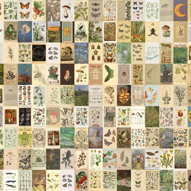 Cottage Core Decor - Etsy UK