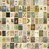 Cottagecore Aesthetic Wall Collage Kit Goblincore Wall Collage Kit ...