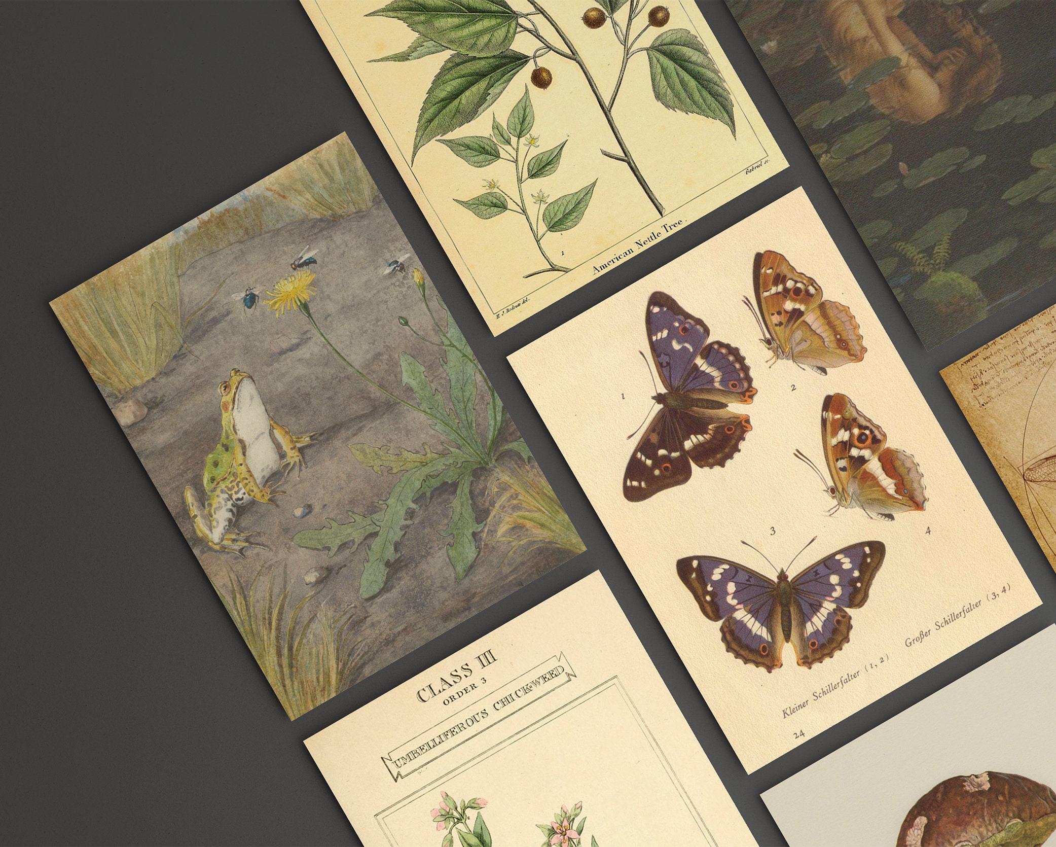 Cottagecore Vintage Aesthetic Wall Decor 135pcs Vintage - Etsy