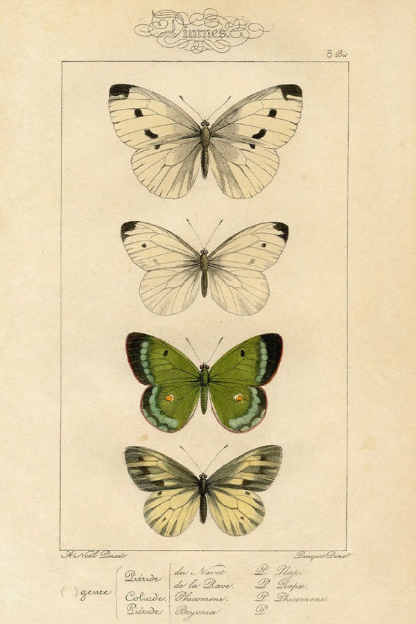 Cottagecore Aesthetic Wall Decor 115pcs Vintage Poster Wall - Etsy