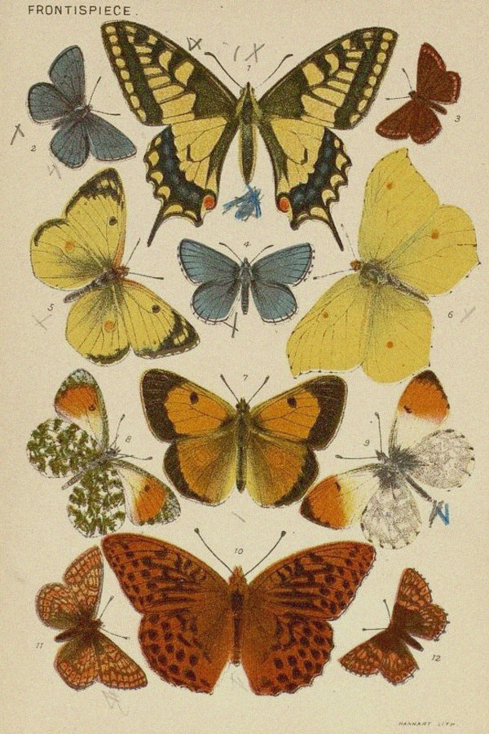 Cottagecore Aesthetic Wall Decor 115pcs Vintage Poster Wall - Etsy