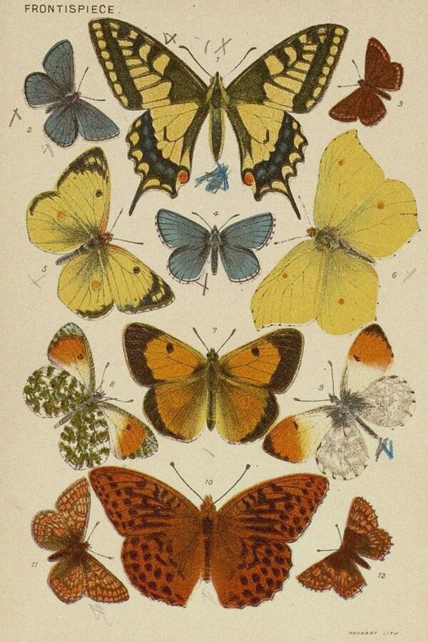 Cottagecore Aesthetic Wall Decor 115pcs Vintage Poster Wall - Etsy