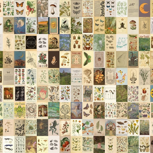 Cottagecore Vintage Aesthetic Wall Decor 135pcs Vintage - Etsy