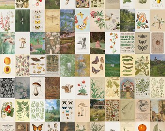 Vintage Botanical Aesthetic Wall Decor 115pcs Vintage Poster Wall ...