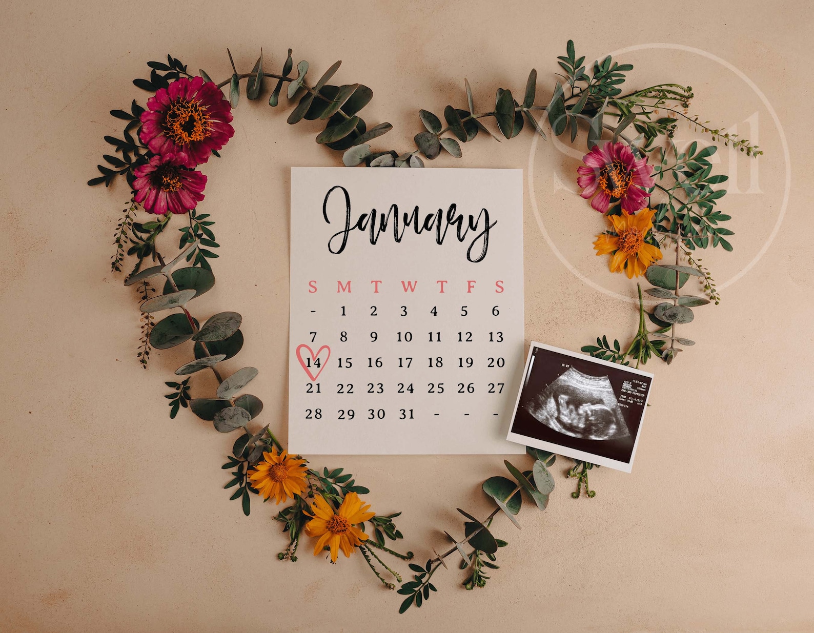 Simple Pregnancy Announcement Digital Due Date Calendar Baby - Etsy