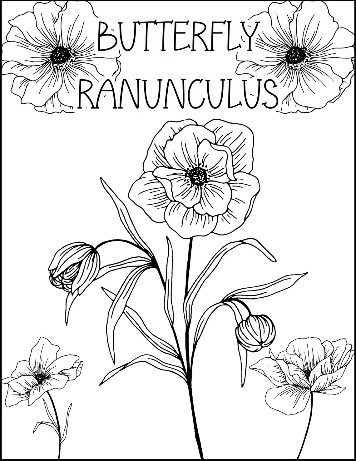 Flower Power: PDF Printable Coloring Pages Featuring Intricate Floral ...