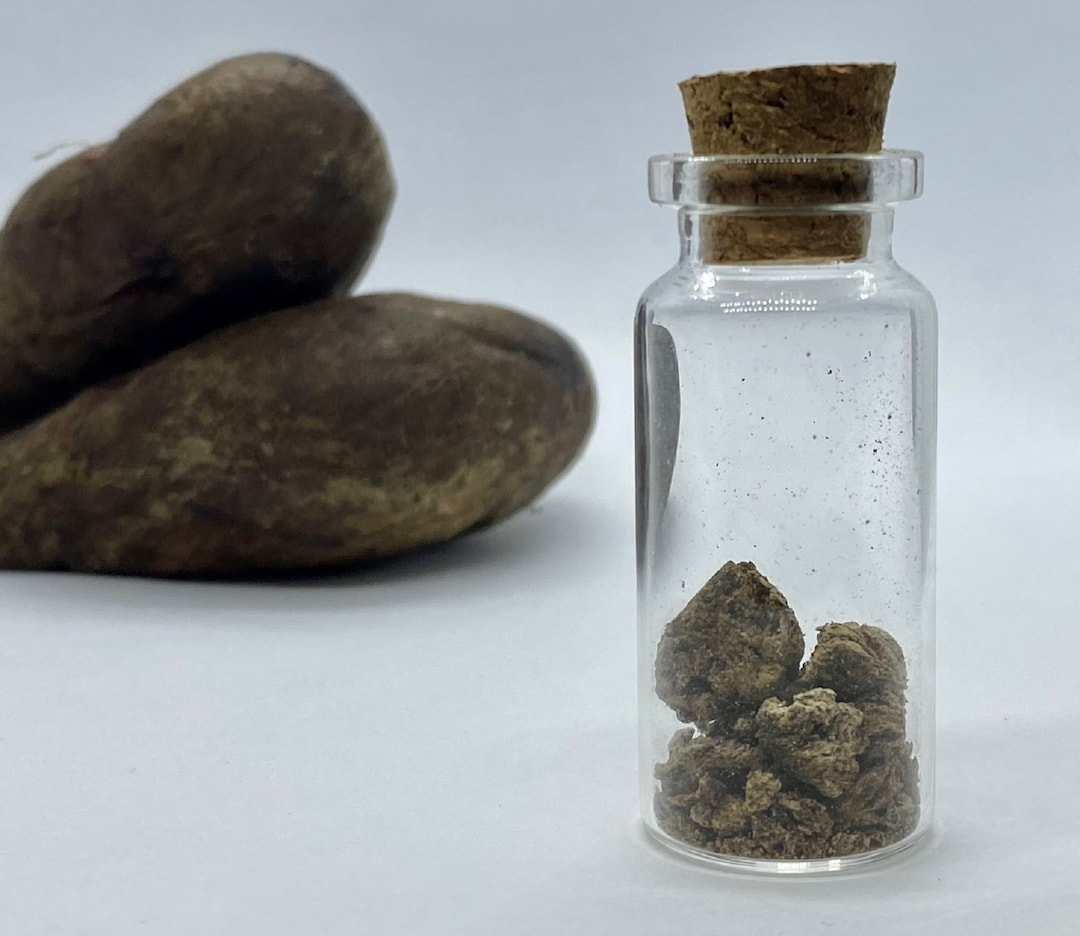 Full Dry Castoreum Grains Authentic Premium Quality - Etsy
