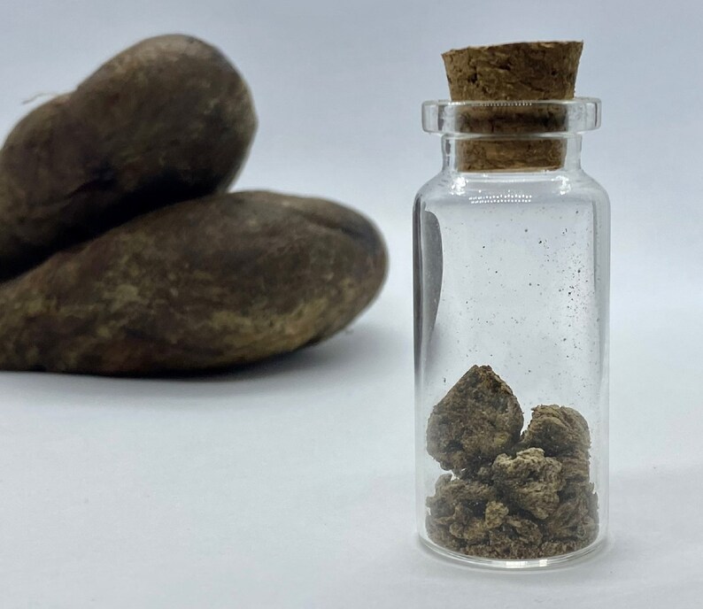 Full Dry Castoreum Grains Authentic Premium Quality - Etsy