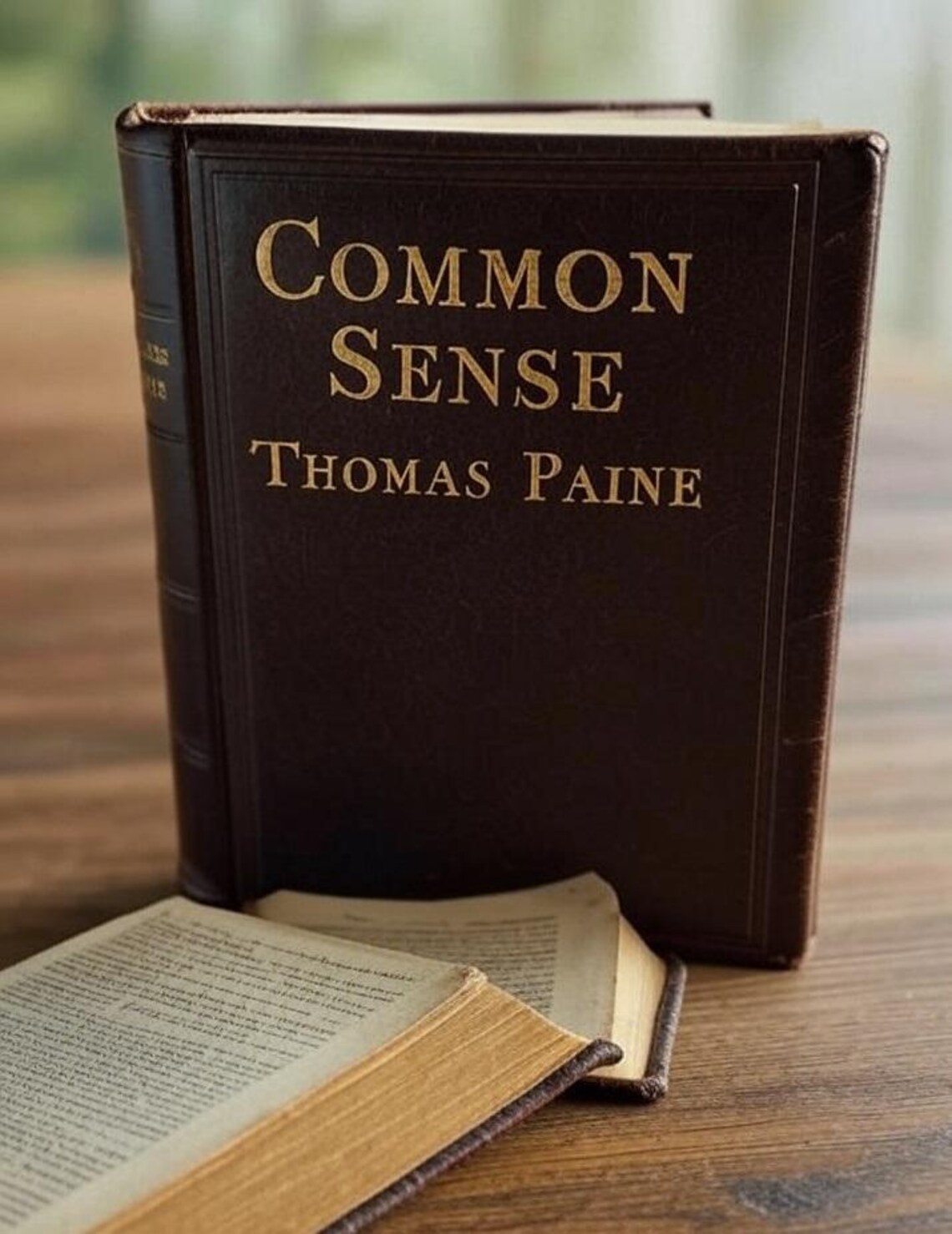 Common Sense by Thomas Paine: American Revolution Political Treatise ...
