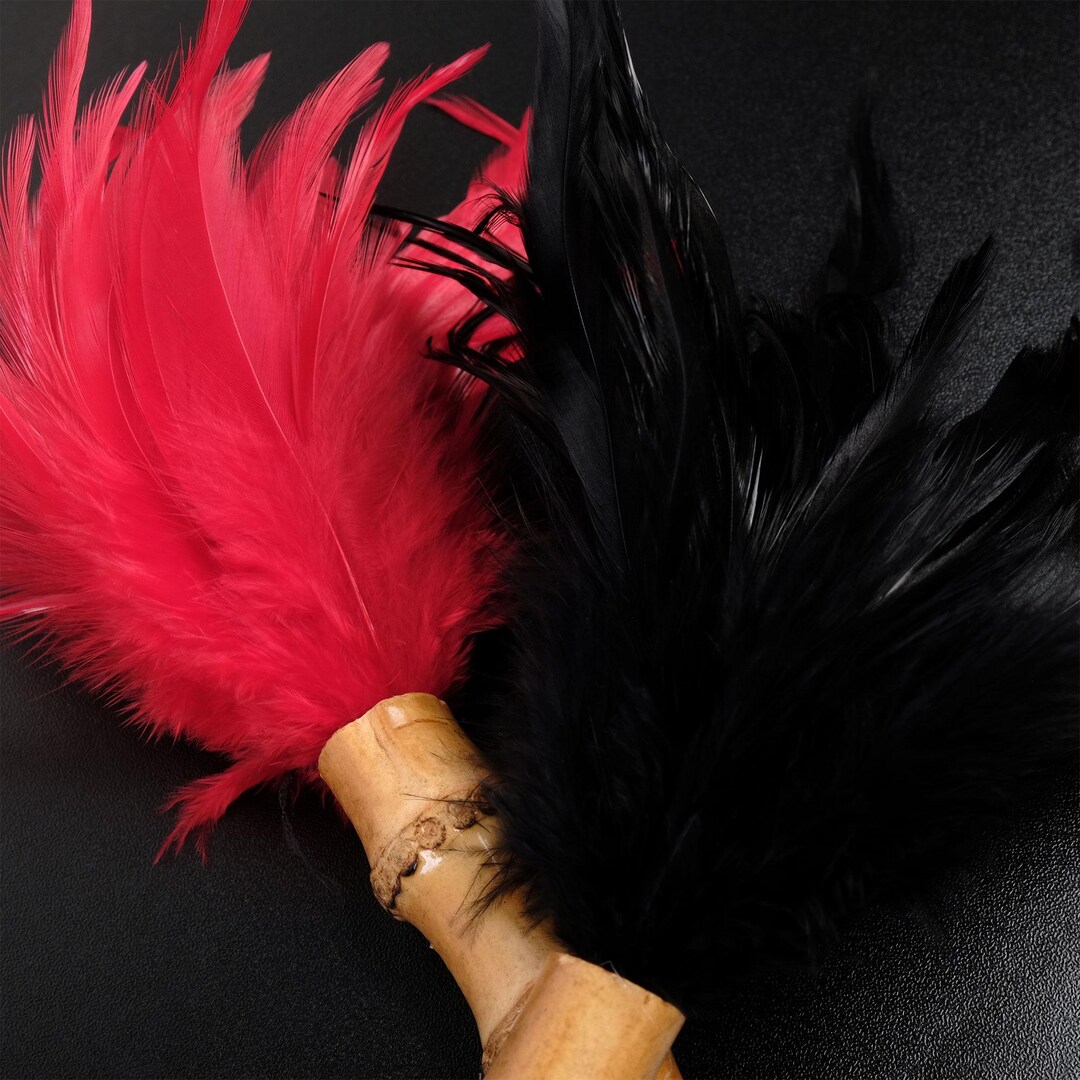 BDSM Feather Tickler/black and Red Tickler Fetish/gglg Tickling/tickle Stocks Feet/bdsm ...