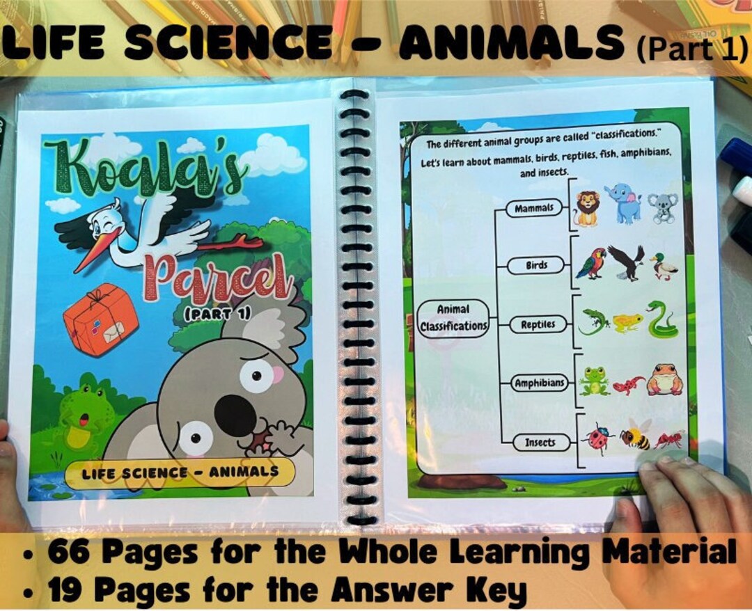 Busy Book for 5-7 Yr Old Animal Science Bundle Part 1 66 Pages of Fun ...