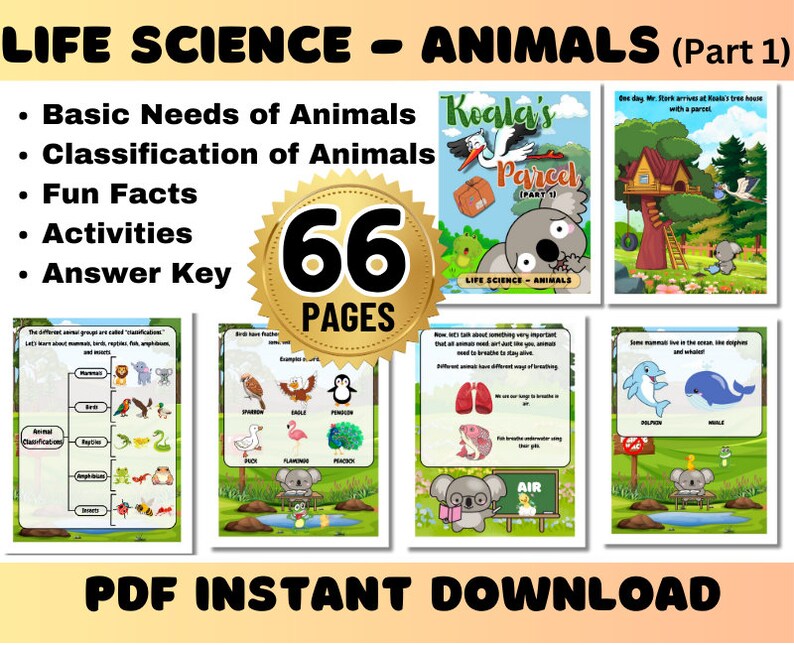 Busy Book for 5-7 Yr Old Animal Science Bundle Part 1 66 Pages of Fun ...