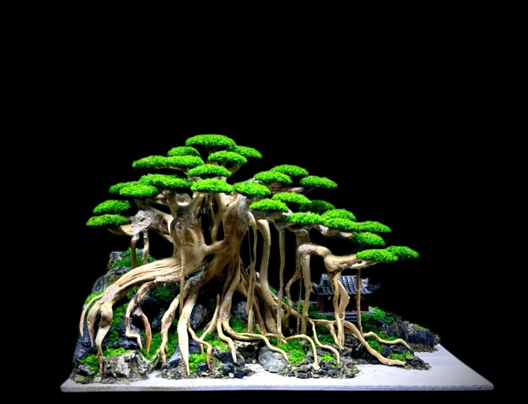 Bonsai Aquarium Driftwood Tree | Natural Aquascaping Wood for Fish Tank ...
