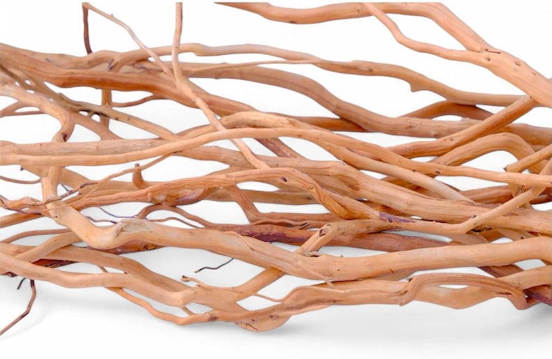 Aquarium Driftwood Roots for Aquascaping - Etsy