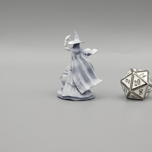 BEHOLD! Tasha, the Witch Queen Miniature! Hand Painted or Primed - D&D ...