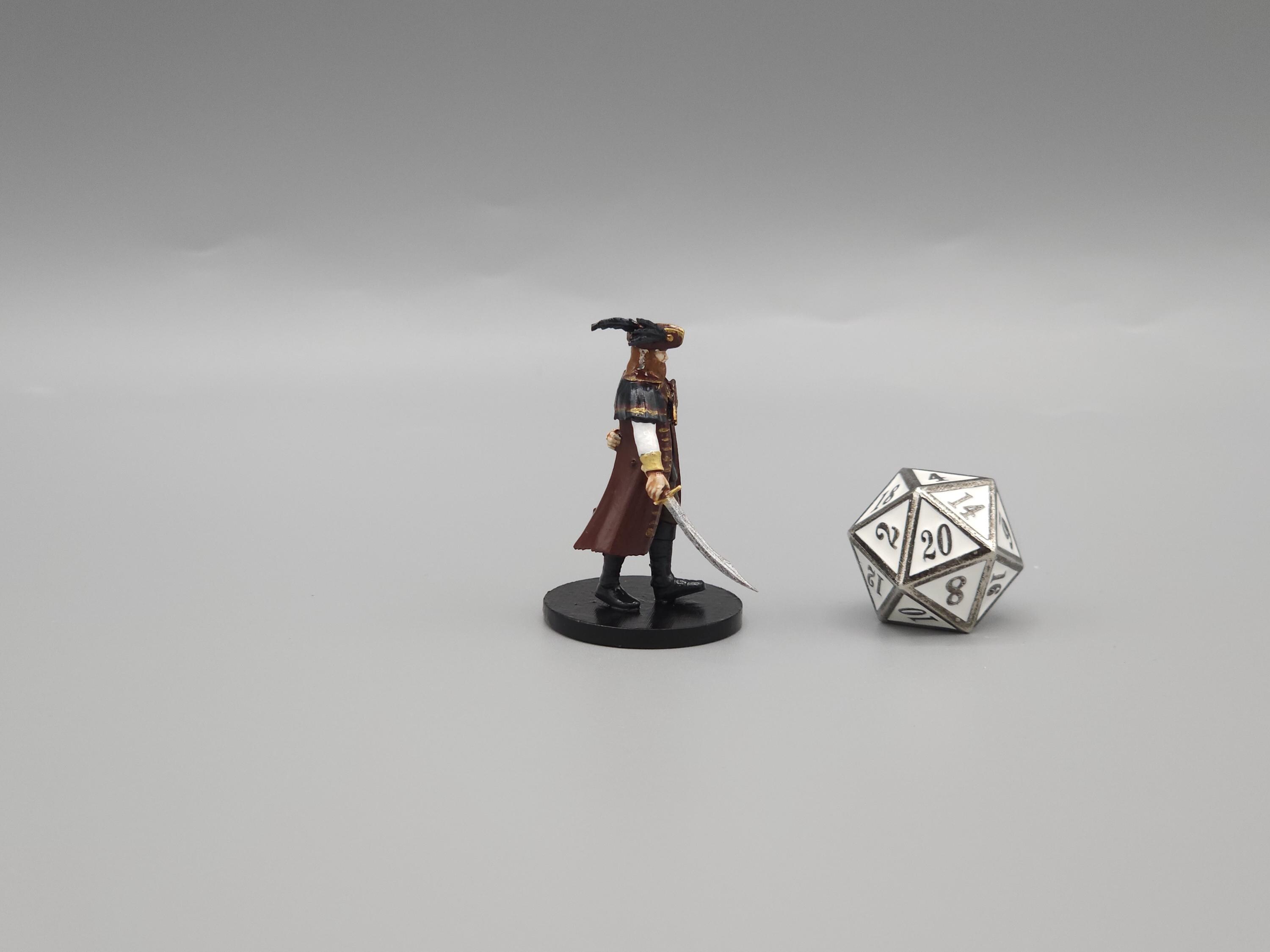 BEHOLD! A Pirate Captain Miniature! Hand Painted or Primed - D&D ...