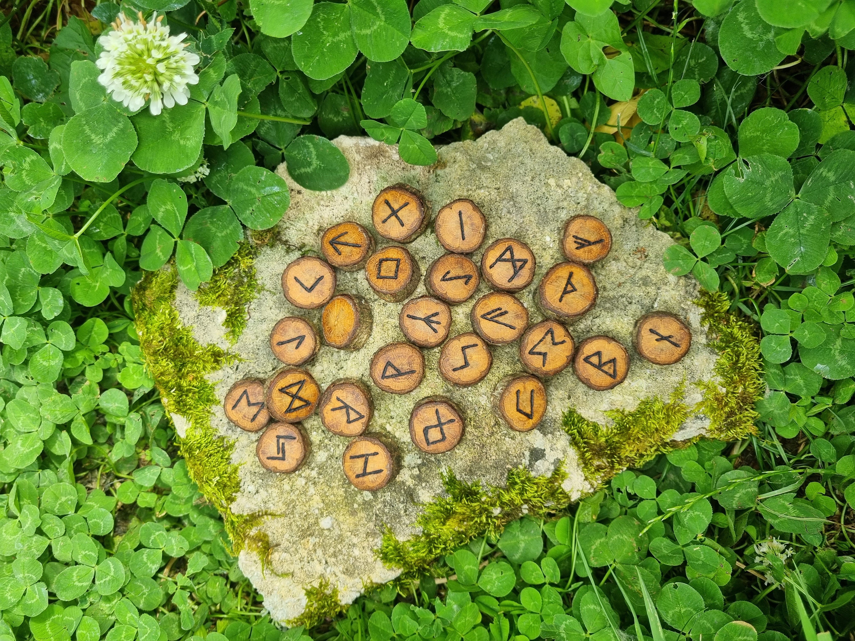 Rune Set Elder Futhark Oak Wood Nordic Viking Divination - Etsy UK