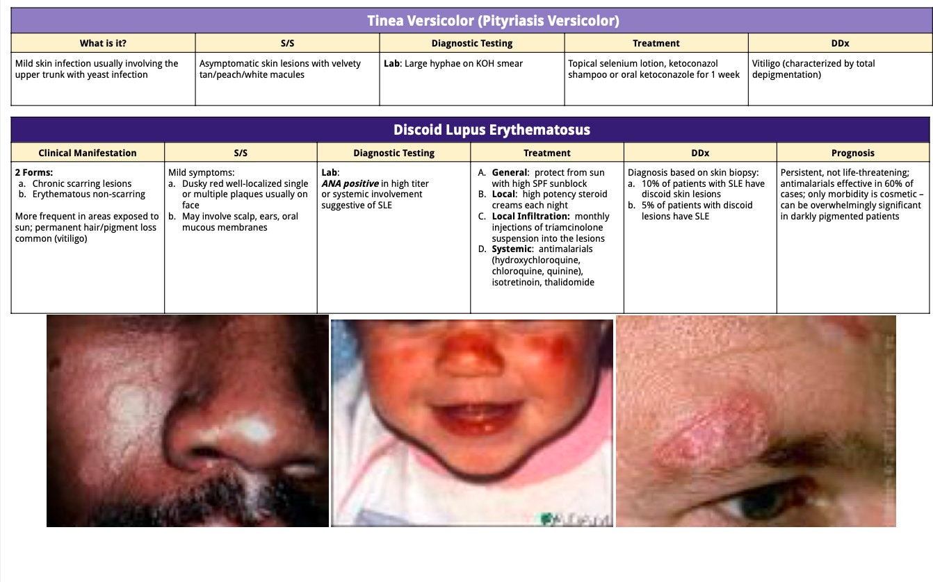 Dermatology Guide Perfectly Organized for Nursing Nclex, PA Pance, and ...
