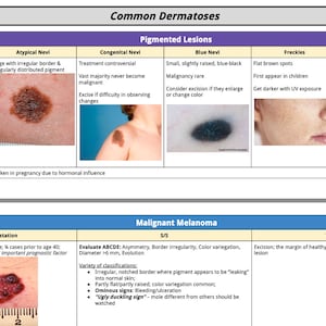 Dermatology Guide Perfectly Organized for Nursing Nclex, PA Pance, and ...