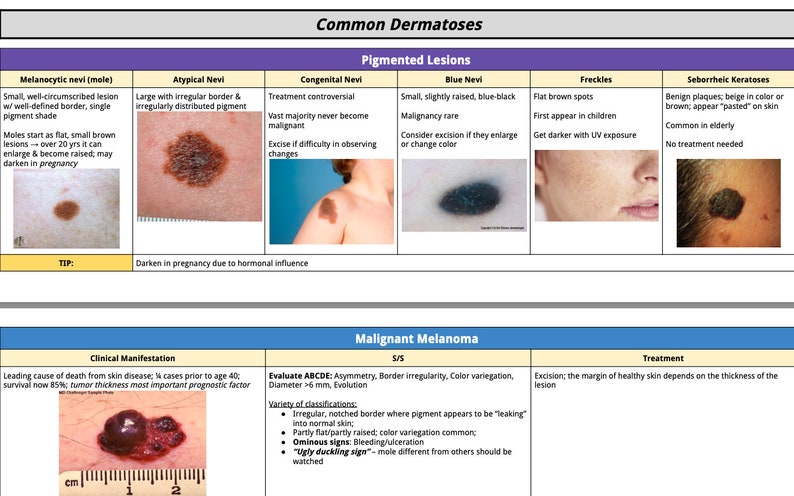 Dermatology Guide Perfectly Organized for Nursing Nclex, PA Pance, and ...