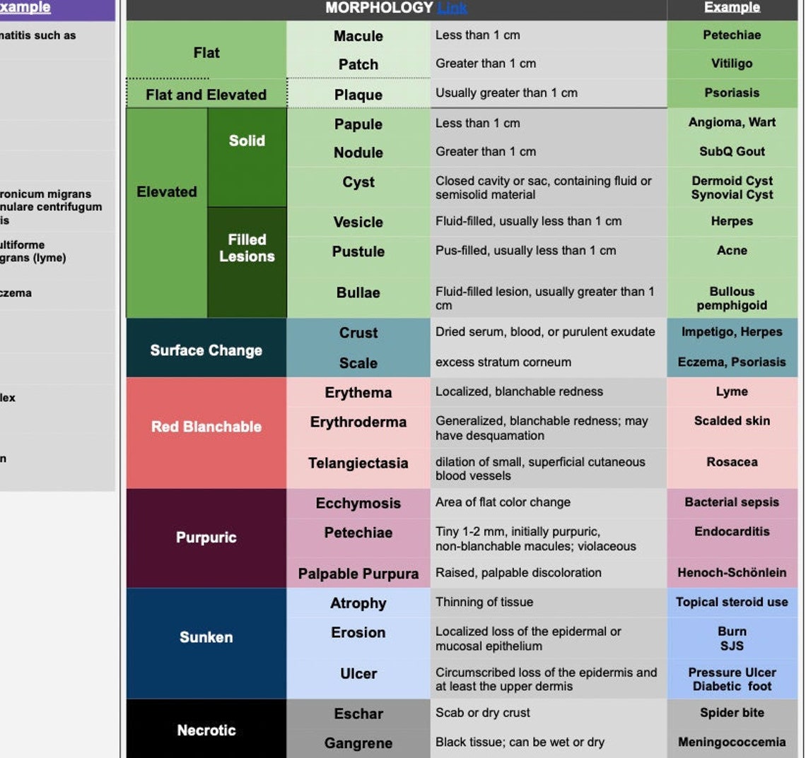 Dermatology Rash/lesion EASY Description Chart for Nurses, Pas, Nps ...