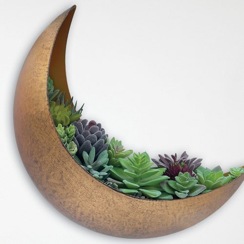 Crescent Moon Wall Planter Indoor Outdoor Metal Moon Planter - Etsy