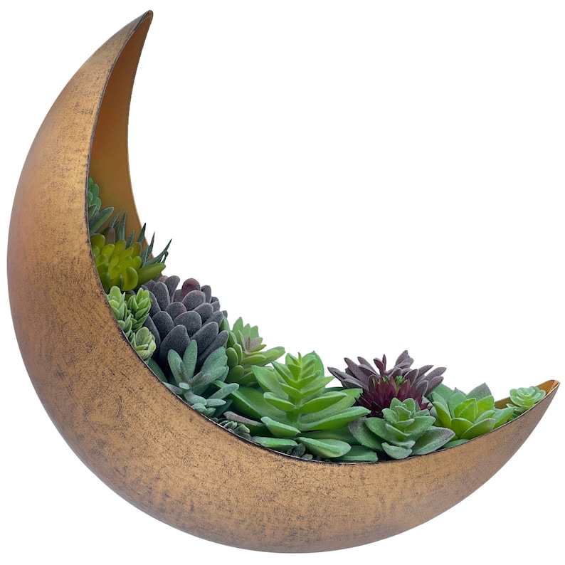 Crescent Moon Wall Planter Indoor Outdoor Metal Moon Planter - Etsy