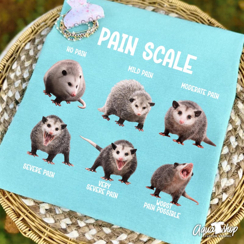 Pain Scale Nursing Tshirt - Etsy