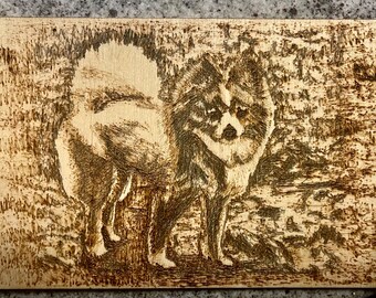 Turtle Wood Burning - Etsy