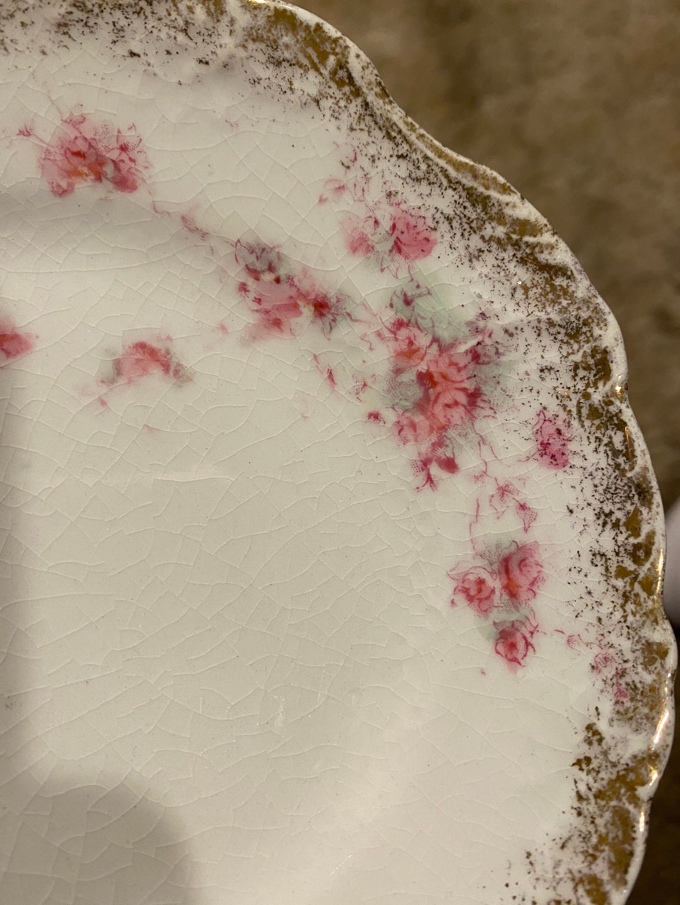 1900's the Goodwin Pottery Co. 4 Piece Saucer Set - Etsy