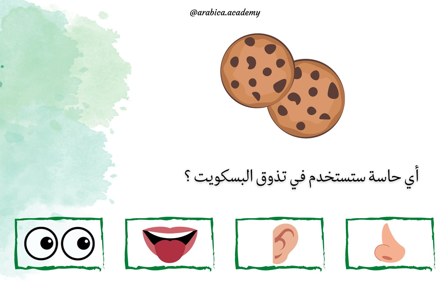 My Five Senses Cards in Arabic | Five Senses Activities | Arabic for ...