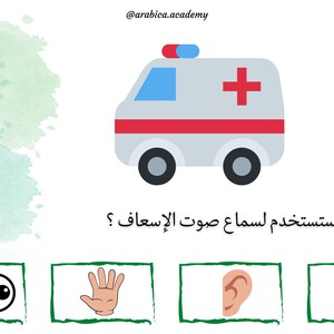 My Five Senses Cards in Arabic | Five Senses Activities | Arabic for ...