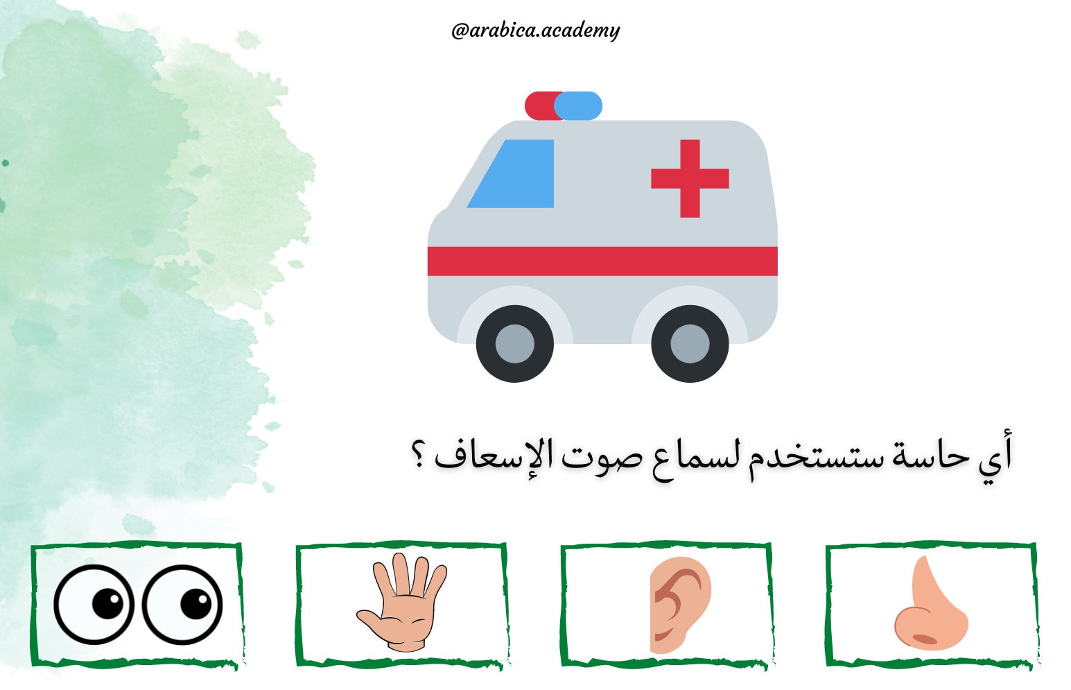 My Five Senses Cards in Arabic | Five Senses Activities | Arabic for ...