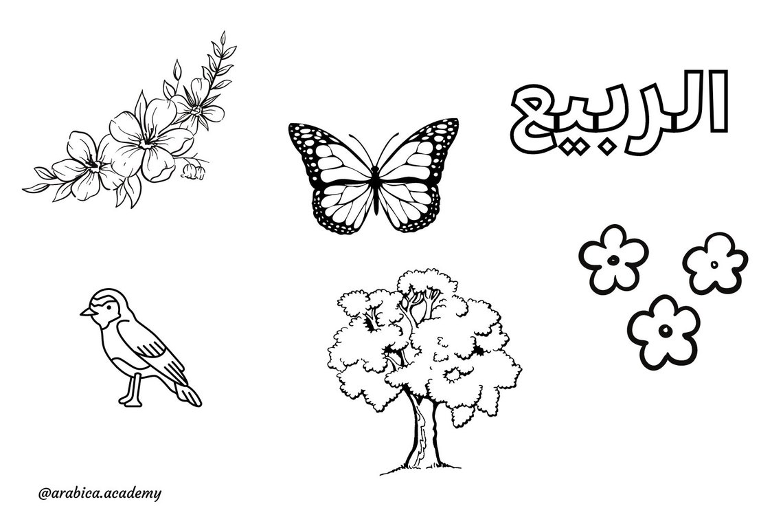 Seasons in Arabic Coloring Pages Arabic for Kids Arabic - Etsy Canada