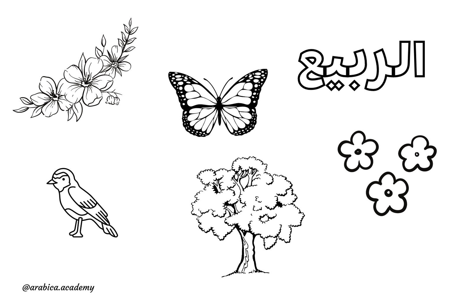 Seasons in Arabic Coloring Pages Arabic for Kids Arabic - Etsy Canada