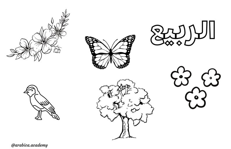 Seasons in Arabic Coloring Pages Arabic for Kids Arabic - Etsy Canada