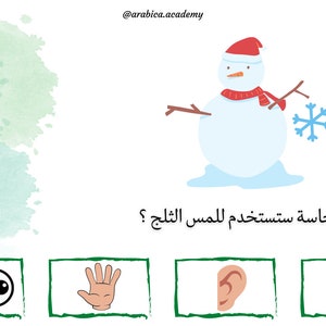 My Five Senses Cards in Arabic | Five Senses Activities | Arabic for ...