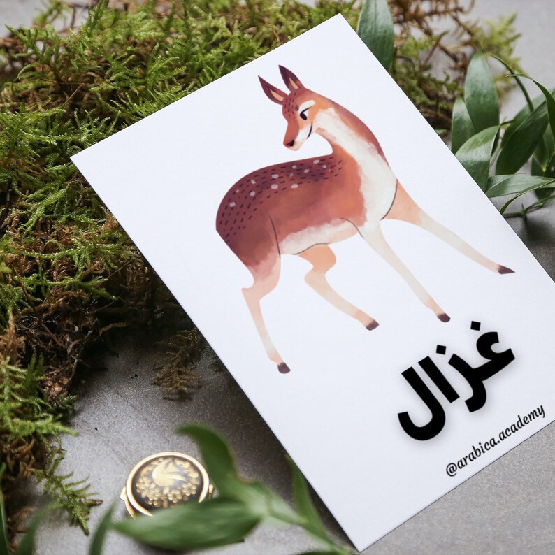 Arabic Animals Flashcards | Arabic for Kids | Arabic Flashcards ...