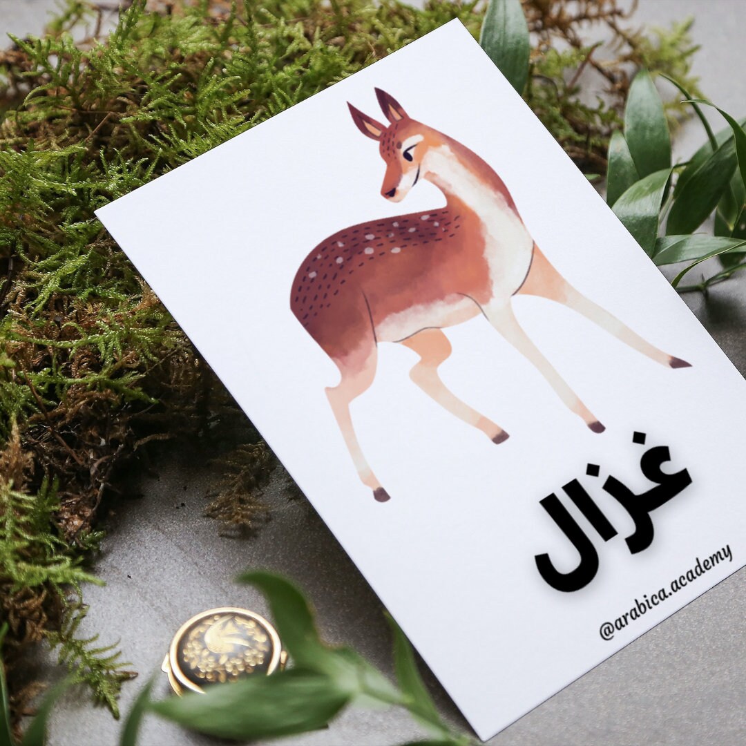Arabic Animals Flashcards | Arabic for Kids | Arabic Flashcards ...