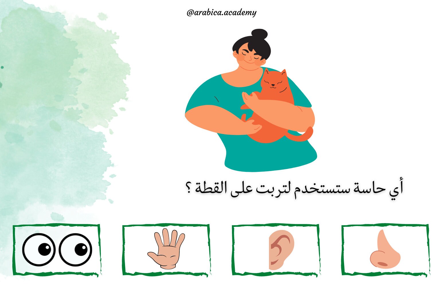My Five Senses Cards in Arabic | Five Senses Activities | Arabic for ...