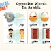 Arabic Opposite Words Flashcards | Arabic for Kids | Arabic Flashcards ...