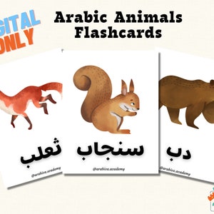 Arabic Animals Flashcards | Arabic for Kids | Arabic Flashcards ...