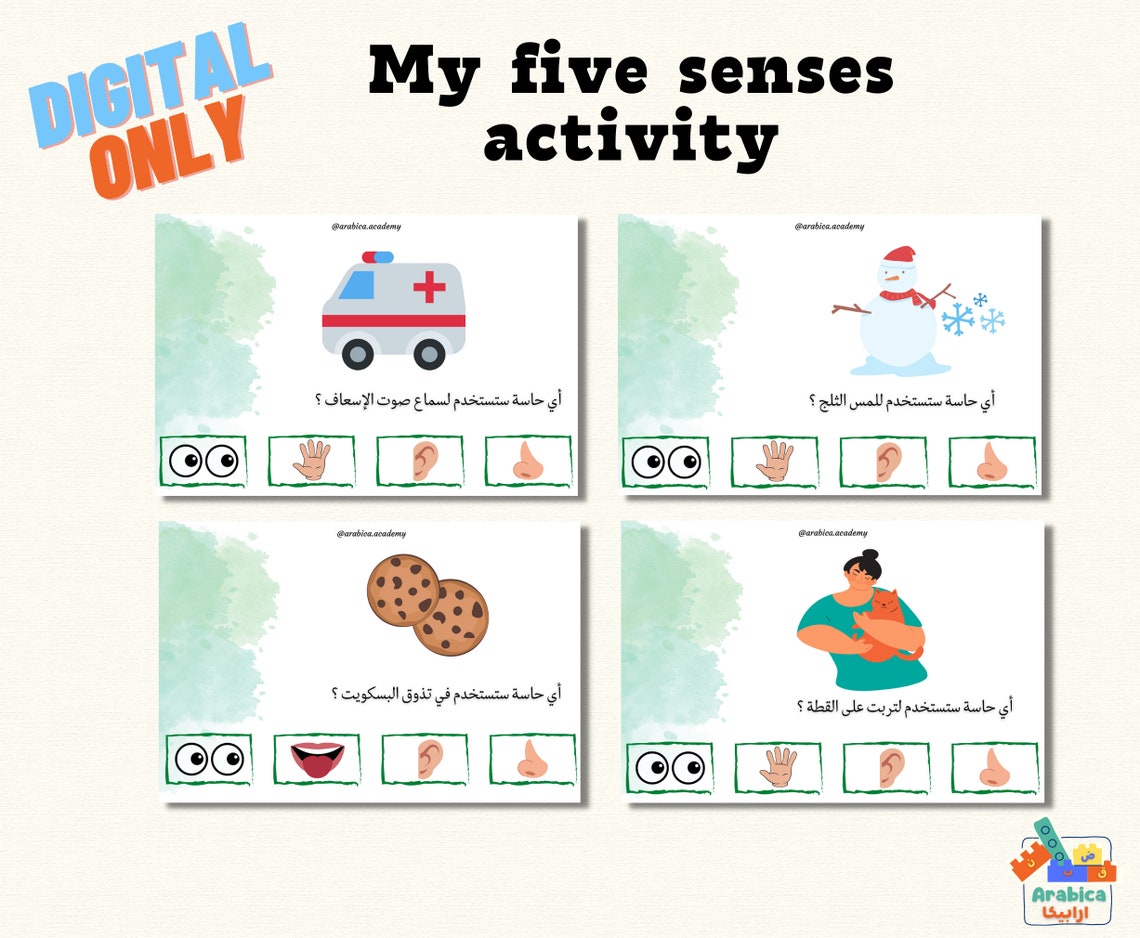 My Five Senses Cards in Arabic | Five Senses Activities | Arabic for ...